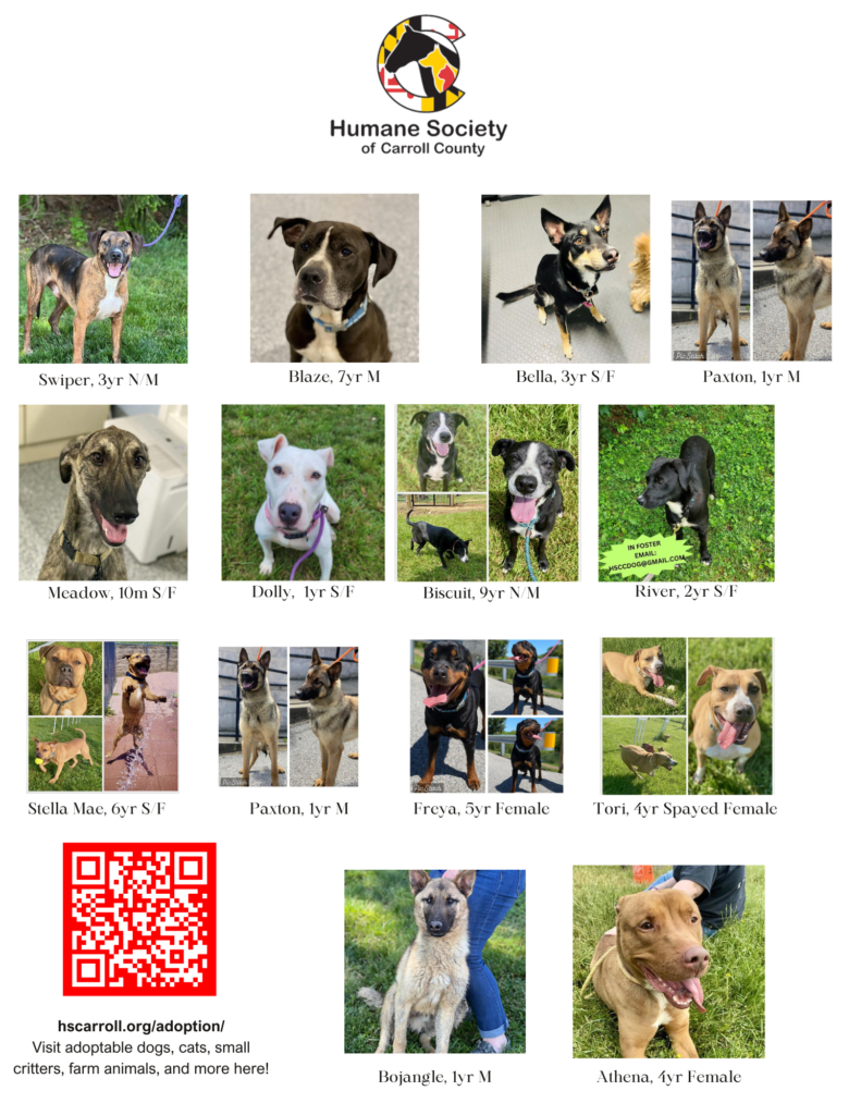 Community Engagement - Humane Society of Carroll County